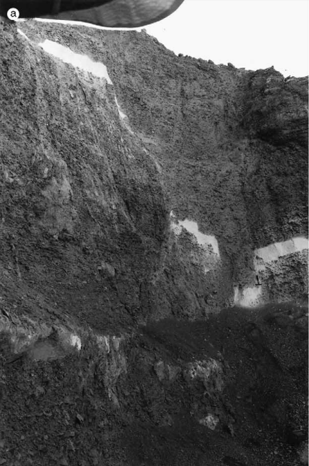 Galeria Fallas | Fallas de Chile