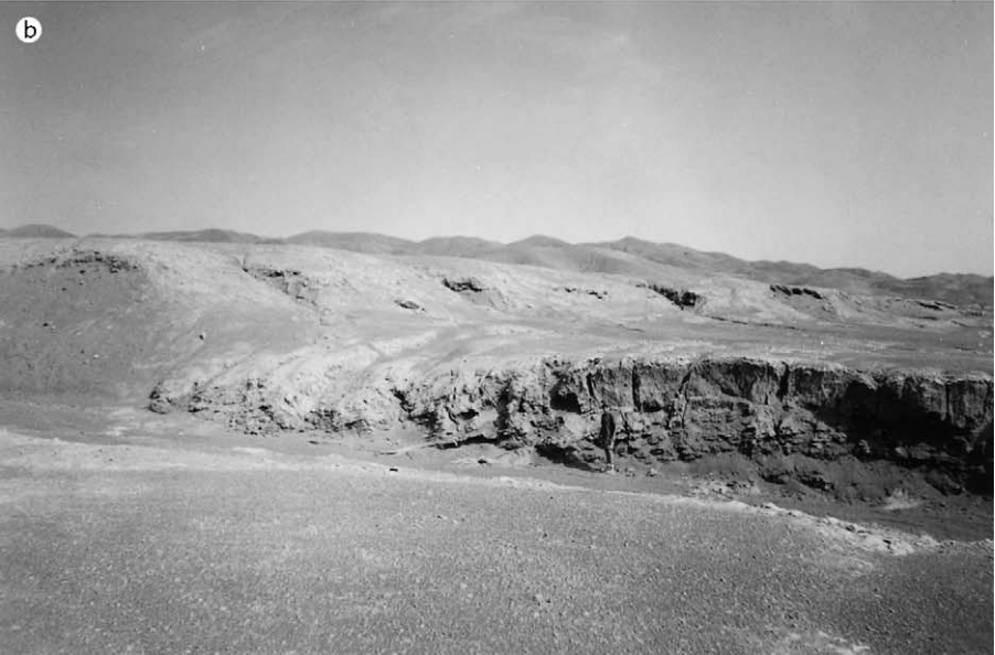 Galeria Fallas | Fallas de Chile